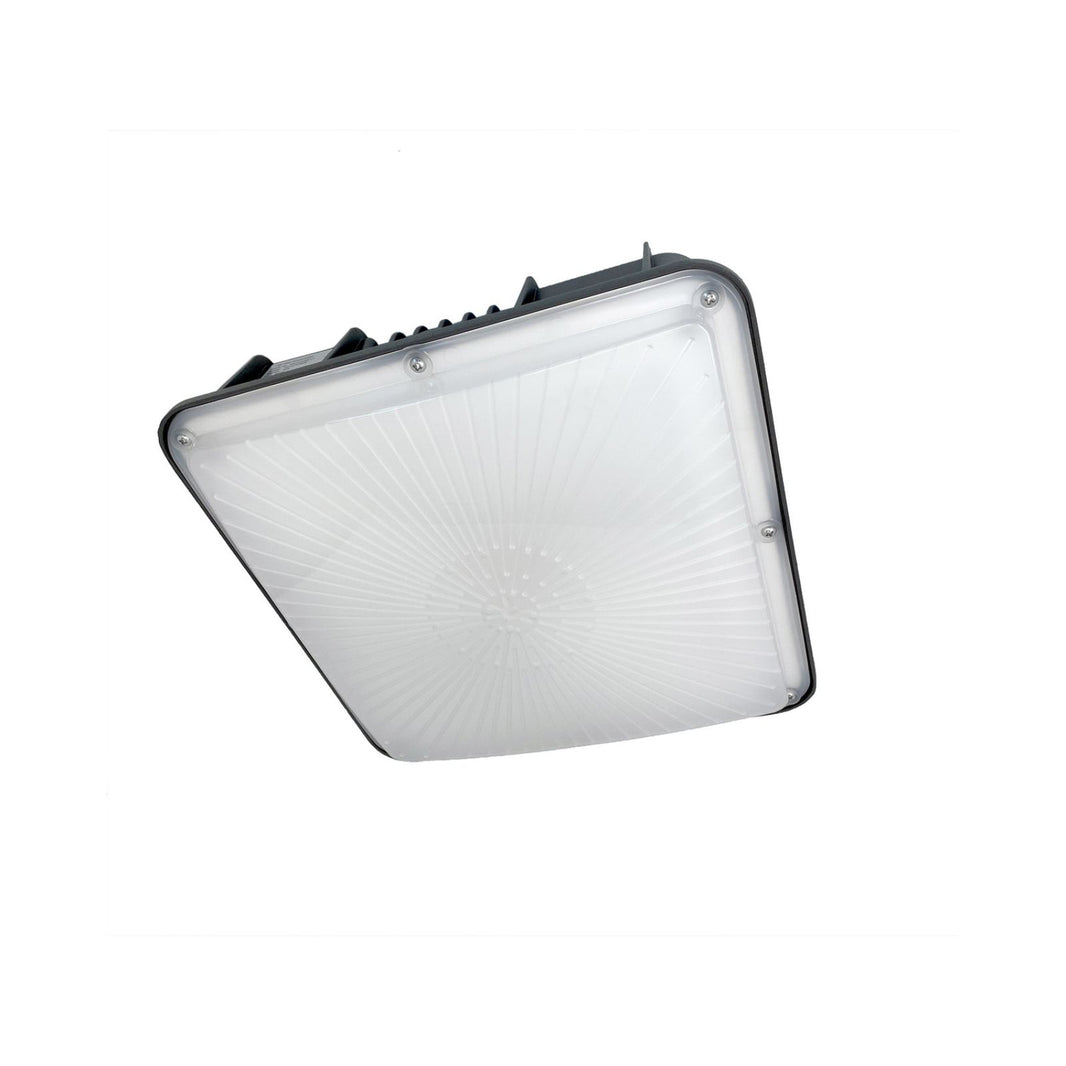 Canopy Lights | Durable & Efficient Outdoor Lighting | Light2Work